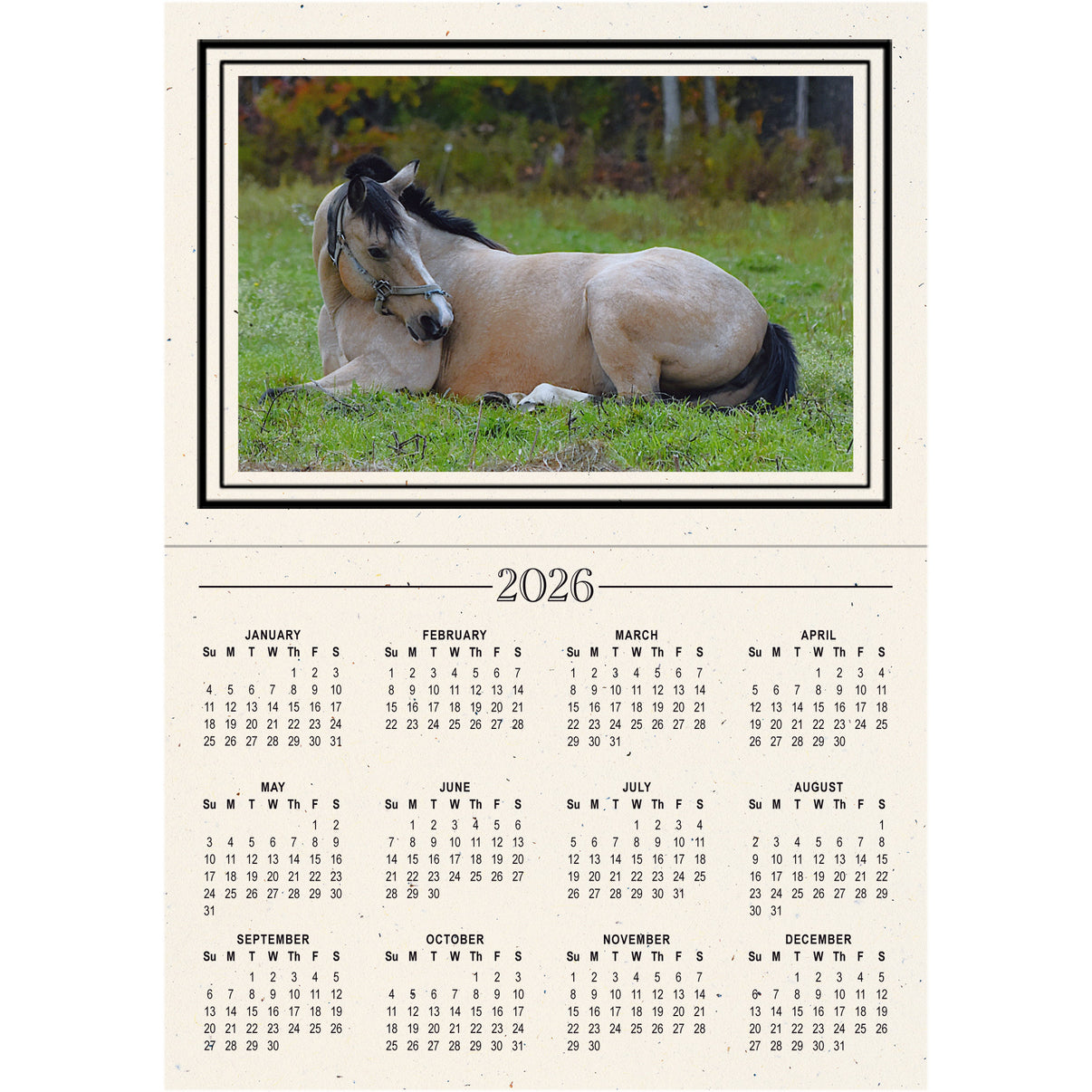 1305 - 2026 Year at a Glance Photo Calendar Card (5 pack ...