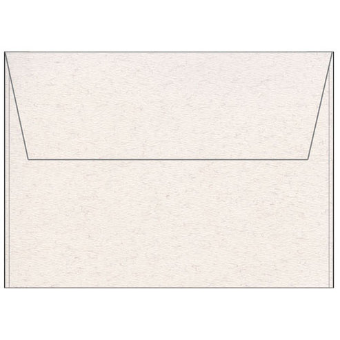 EXTRA E1 - 10 EXTRA Natural Envelopes – Photographer's Edge